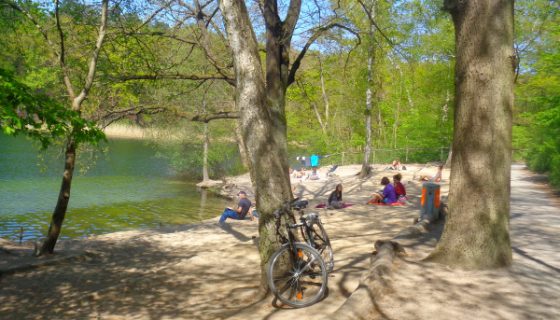 Die Krumme Lanke, ein schöner Badesee im Süden von Berlin